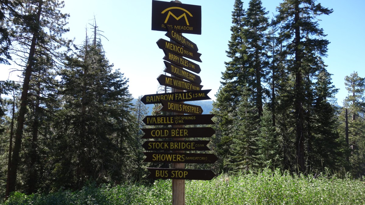 Training Week 3 – The Burger Incident of 2016 – The Limping Rabbit