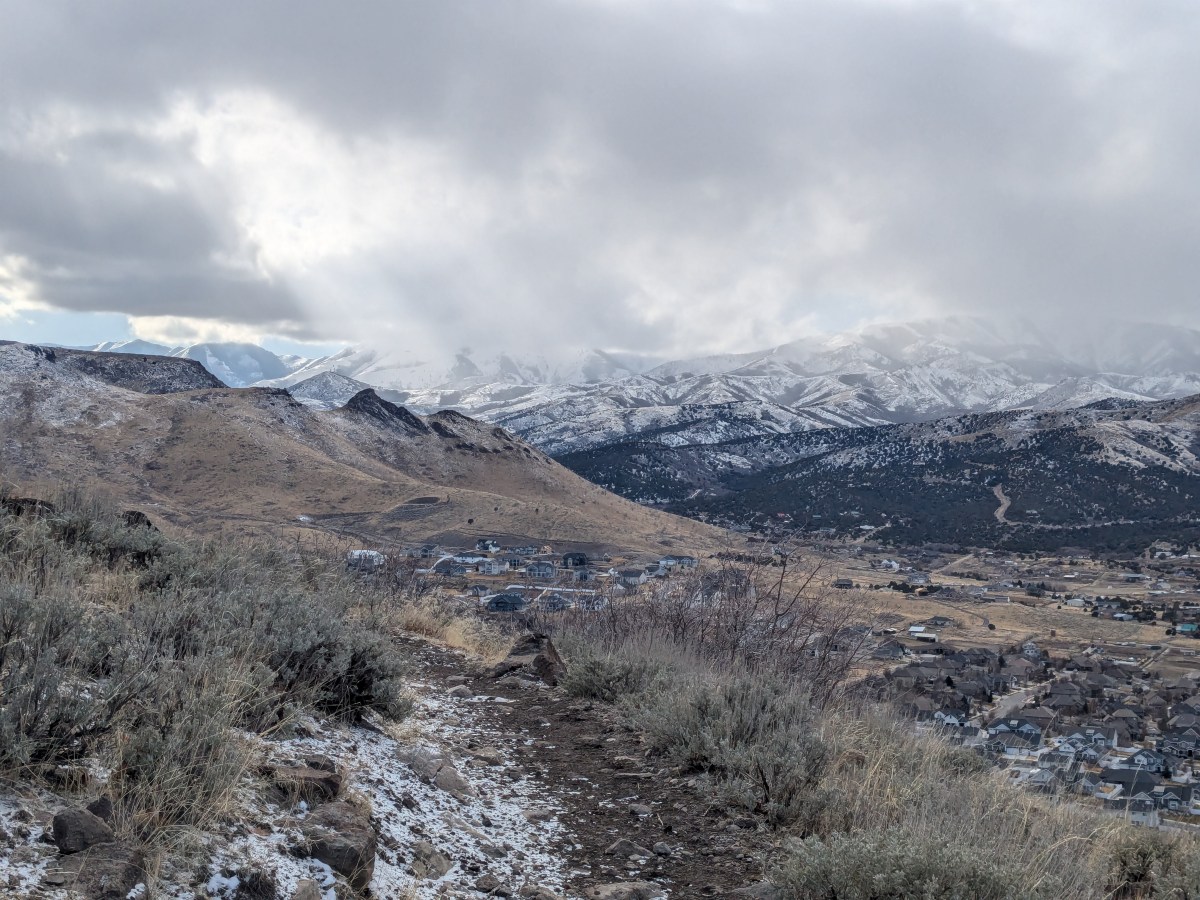 Training Week 2: The Kickoff – The Limping Rabbit