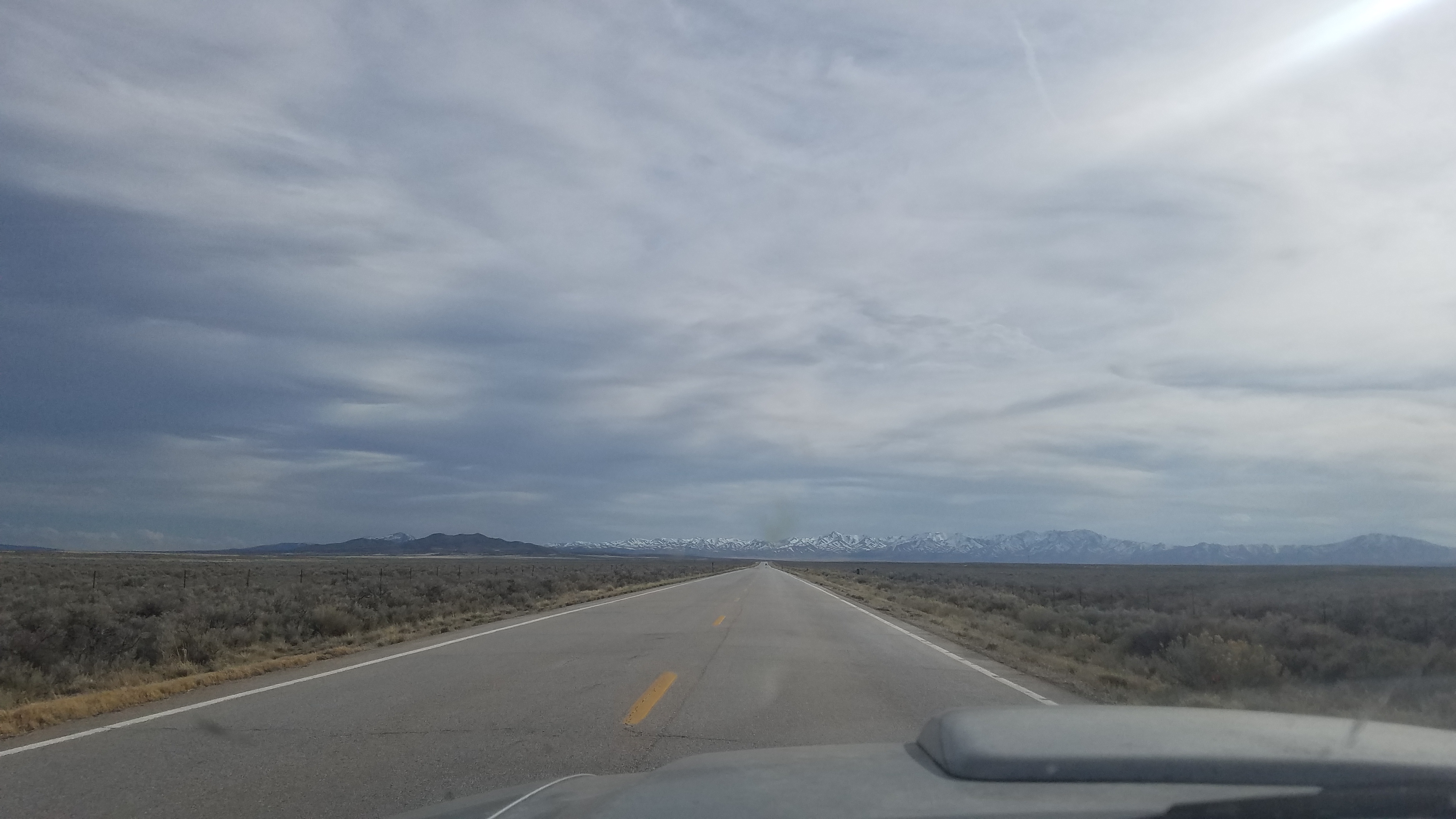 The Pony Loop – The Limping Rabbit